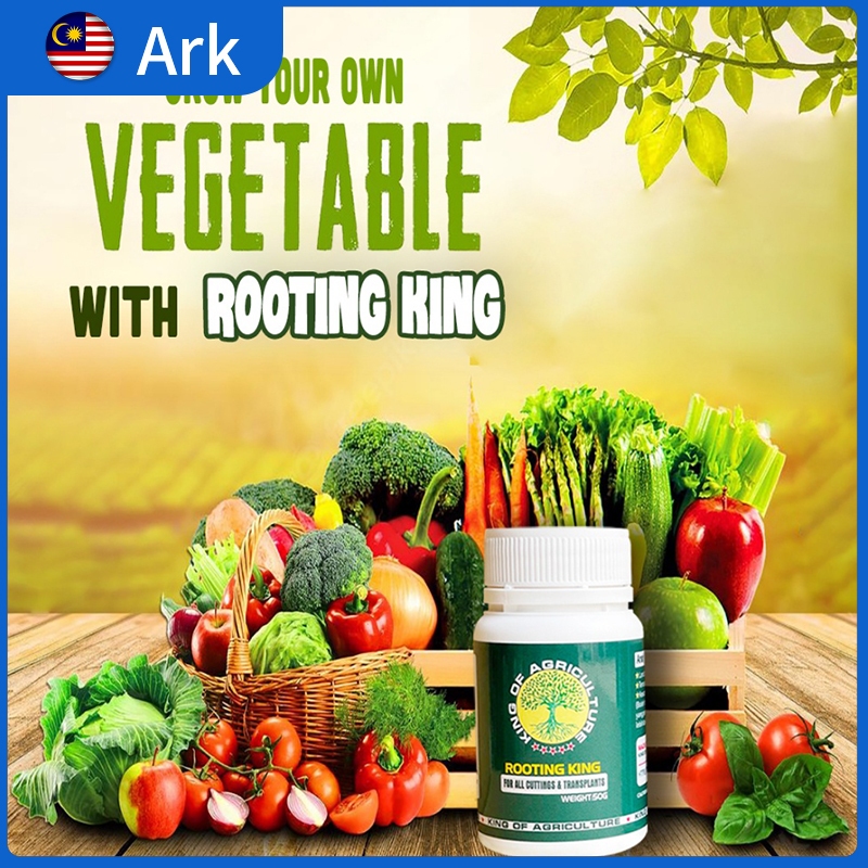 ARK 🇲🇾 1pcs Rooting King Powder - New generation fertilizer, power for ...