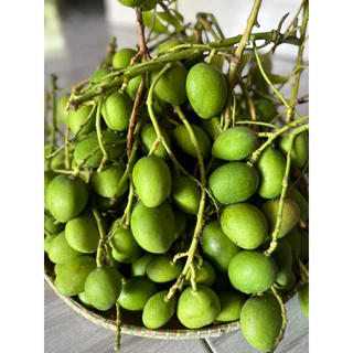 Buy The Best mangga Online, Jul 2024 | Shopee Malaysia