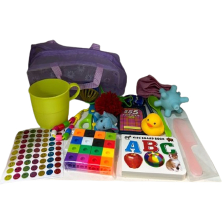 Paediatric Developmental Assessment Kit Version 2022 | Shopee Malaysia