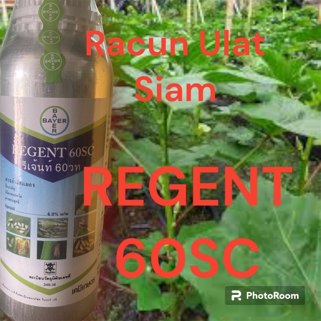 1lit. / Racun Ulat Siam Regent 60SC / Racun Serangga Siam / Mengawal ...