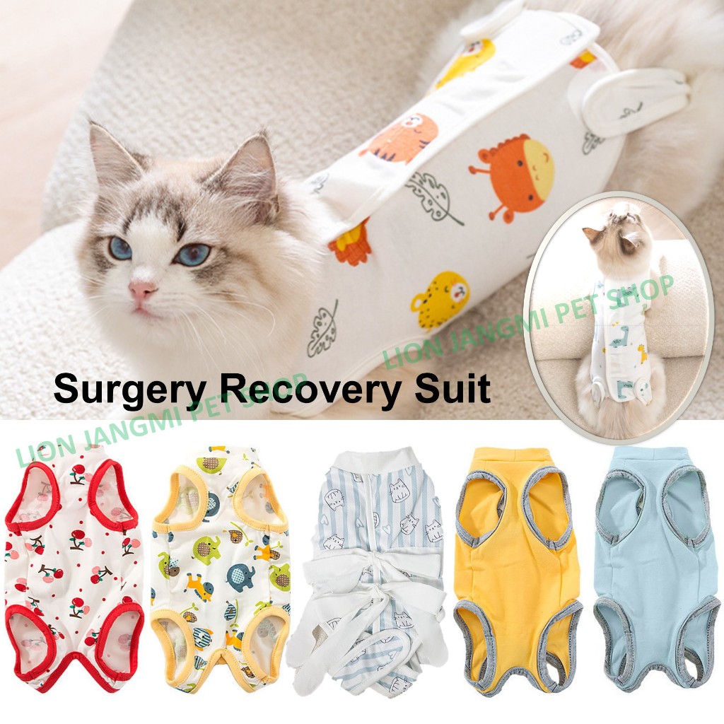 Selepas Surgeri - Baju Kucing Jantan Betina Mandul - Pet Cat Recovery ...
