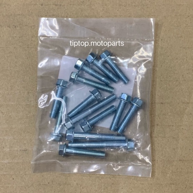 SUZUKI RGV 120 RGX MAGNET AND CLUTCH COVER SCREW SET SKRU COVER MAGNET ...