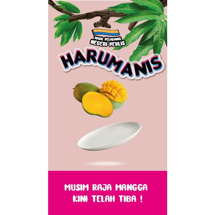 [3KG-RM100] HARMANIS PERLIS [3KG-RM100] | Shopee Malaysia