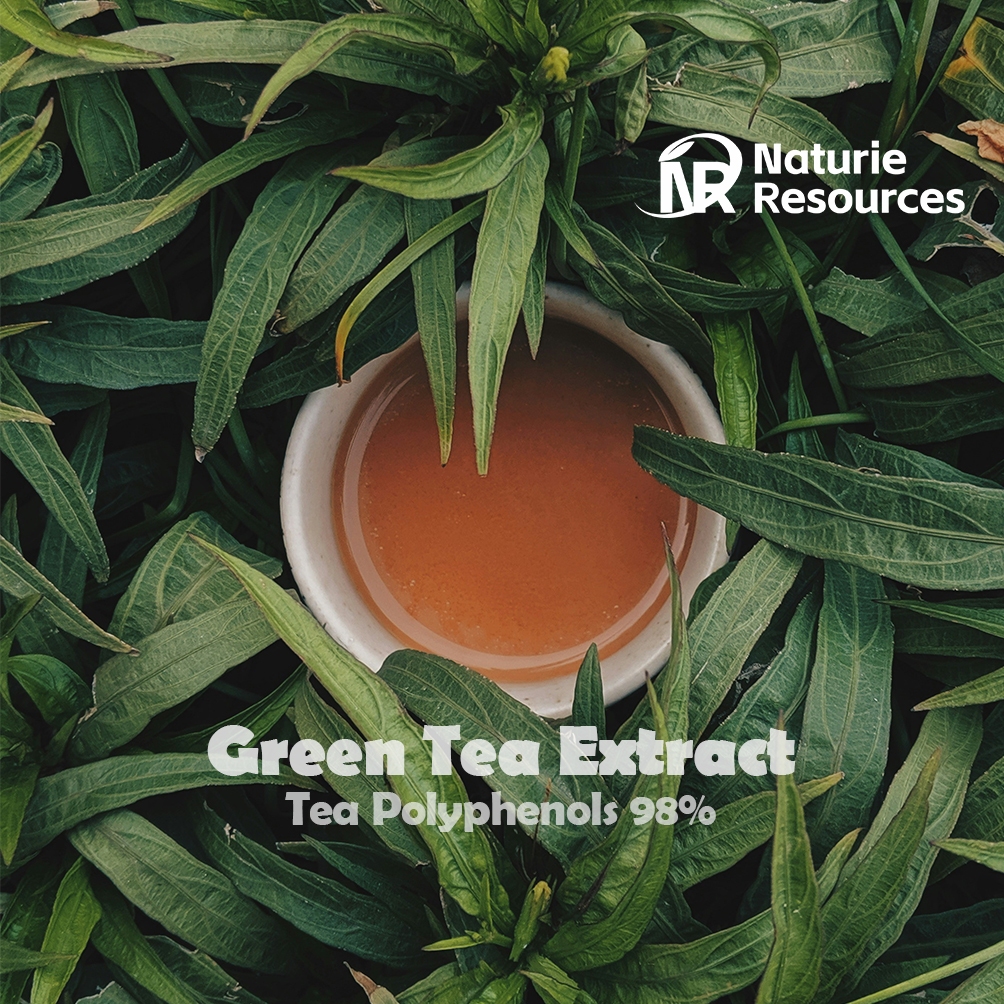 98% Tea Polyphenols Green Tea Extract Powder - Cosmetic Grade ...