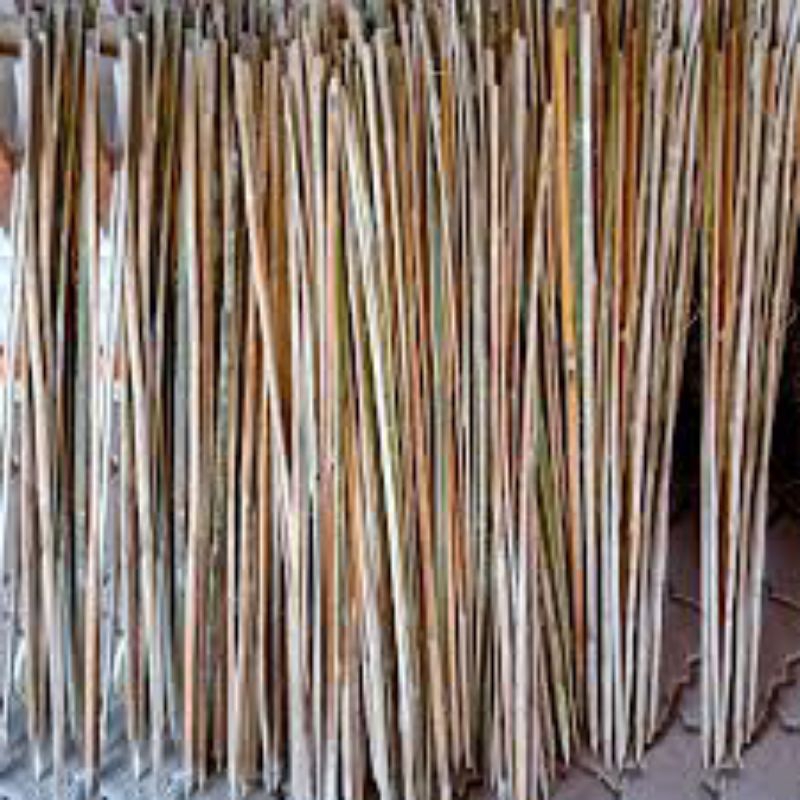 Buluh Pancang 4kaki 50pcs | Shopee Malaysia