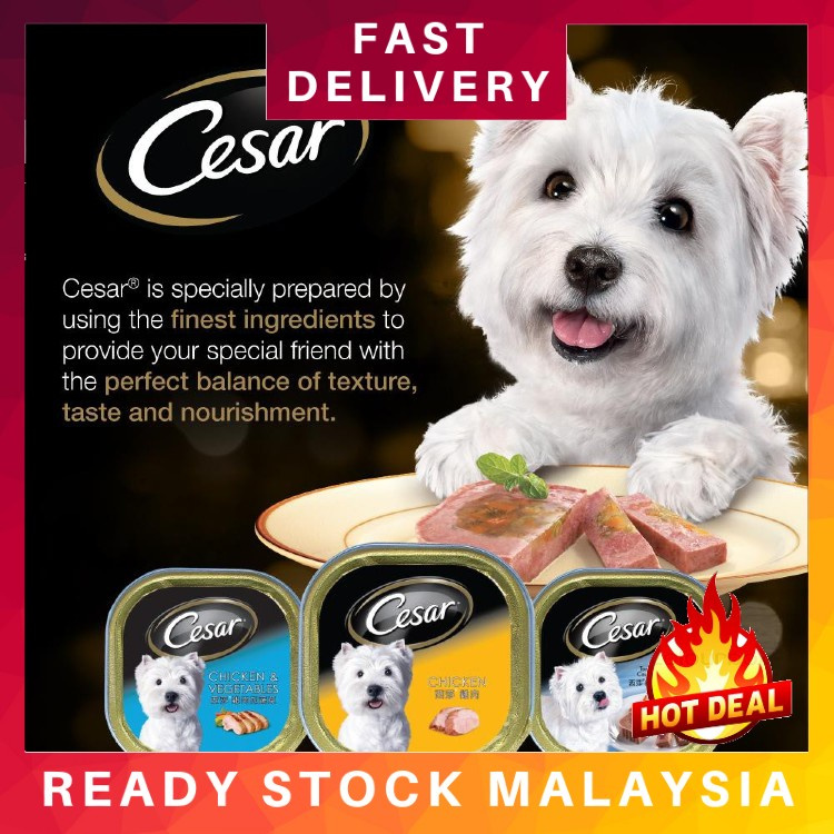 Cesar Can Wet Dog Food 100g | Shopee Malaysia