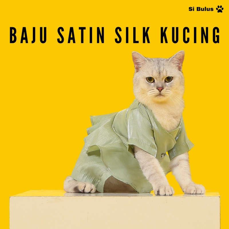 Baju Kurung Modern Satin Silk Kucing Raya Betina Cantik Murah 2024 ...