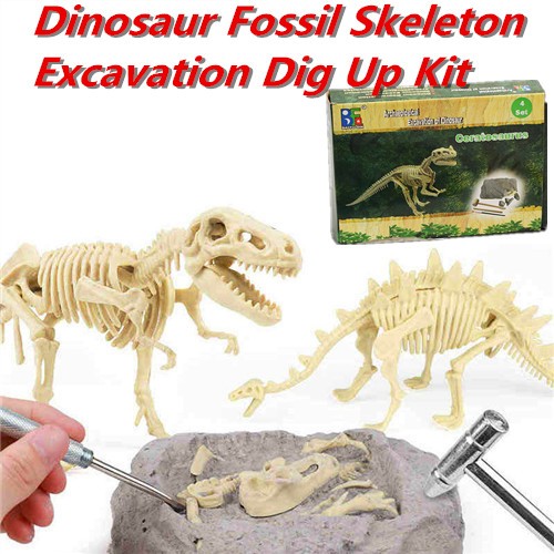 Dinosaur Fossil Skeleton Excavation Dig up Kit DIY Assembly Educational ...
