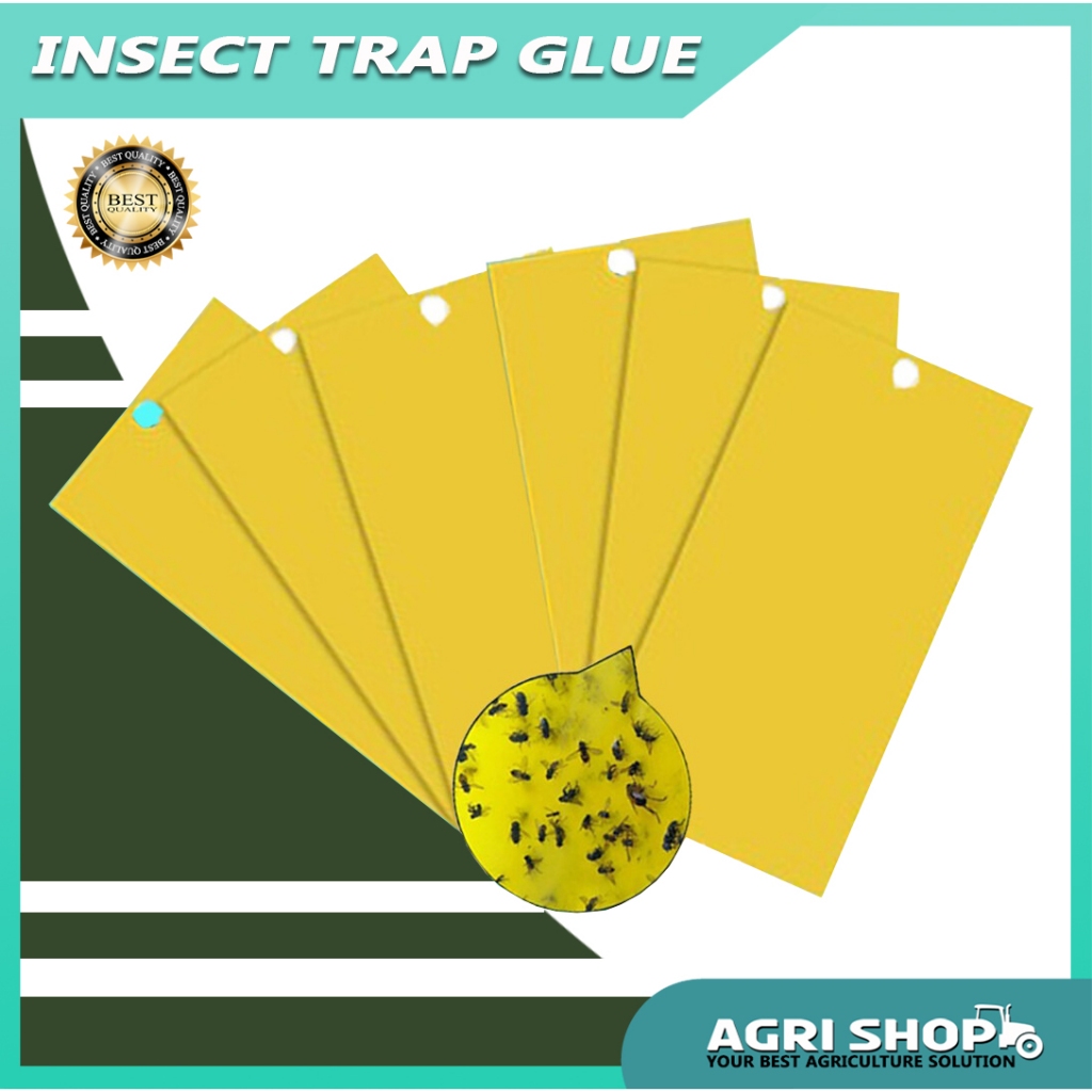 Agrishop Insect Sticky Trap/ Yellow Sticker/ Perangkap Serangga ...