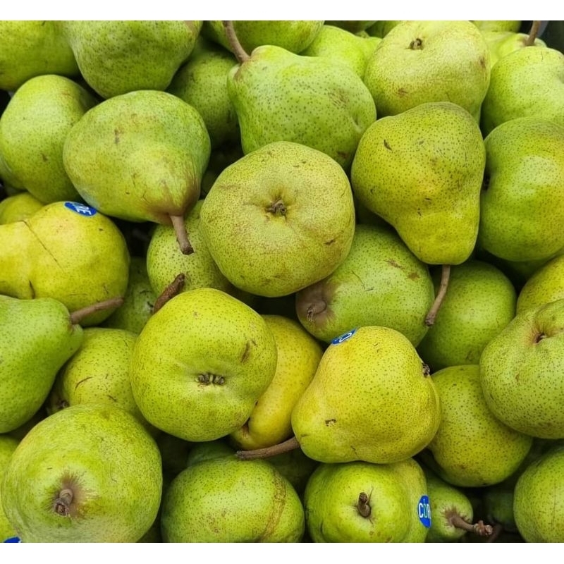 1kg Buah Packham Pear Segar | Shopee Malaysia