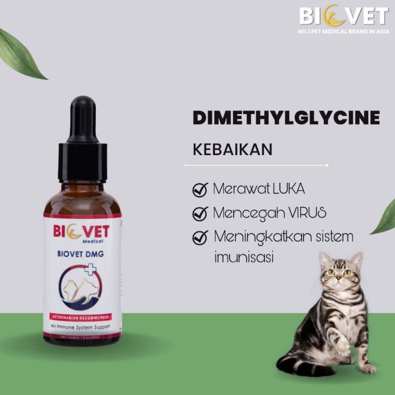Biovet DMG SAKIT MATA VIRUS SPORO Harga Termasuk Pos | Shopee Malaysia