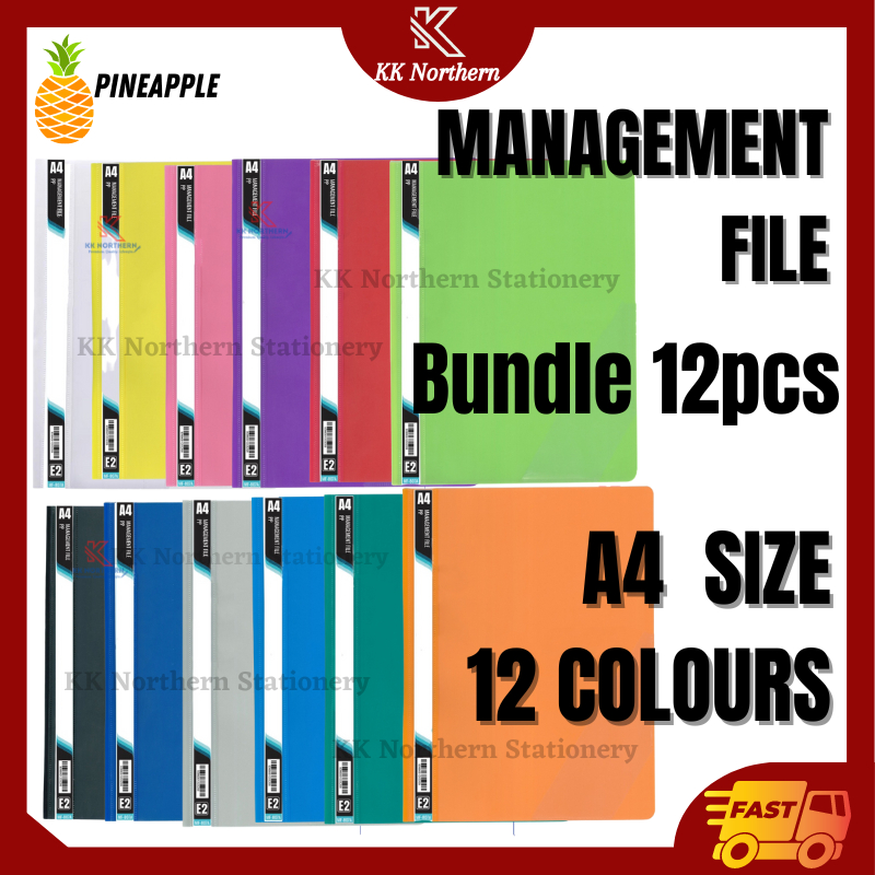 Bundle 12pcs Pvc A4 Report File Extra Thick A4 Management File Colour