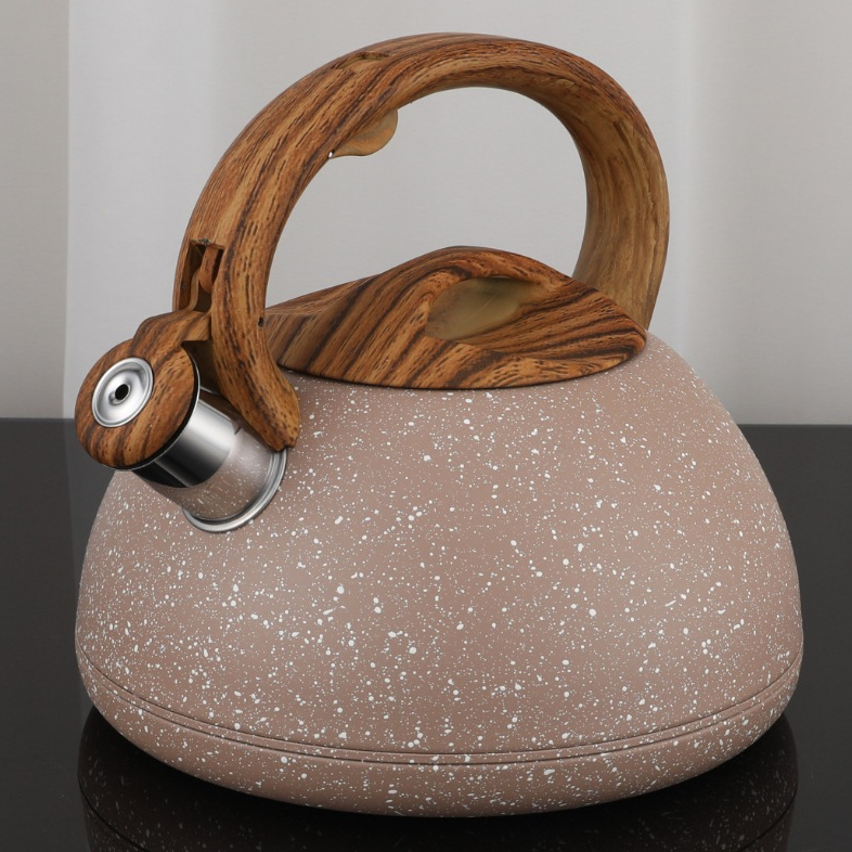 Stainless Steel Whistling Tea Kettle 3L Whistle Kettle Thickened Gas ...