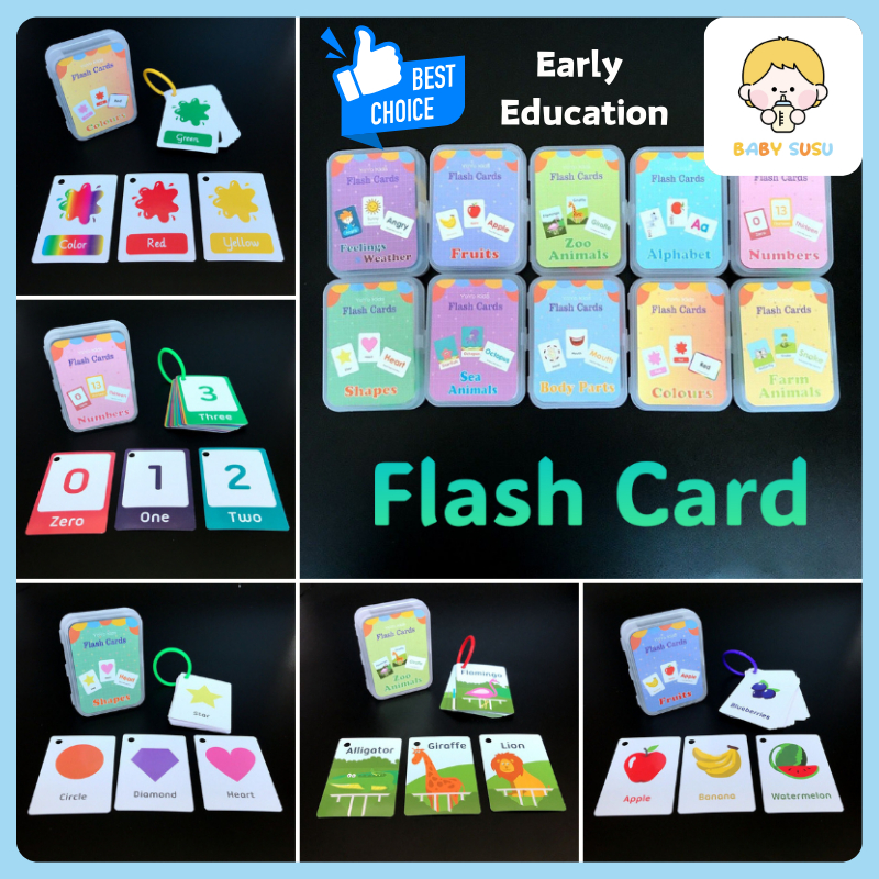 (M'sia) 1 set Early Education Flash Card Kad Animal Shape Colour Body ...