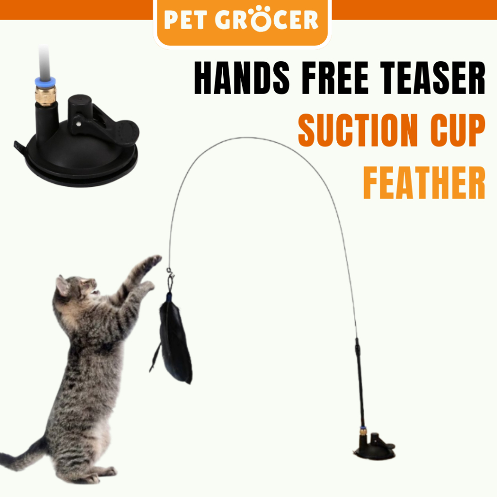 Cat Teaser Interactive Toy Cat Toy Cats Feather Stick Toy With Suction ...