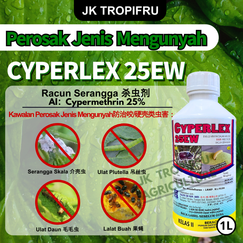 【Serangga Skala介壳虫/Ulat Daun毛毛虫/Lalat Buah果蝇】Cyperlex 25EW (1L) Racun ...