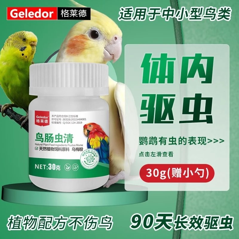 Parrot Birds Ascaris medicine for birds,ubat cacing burung ...