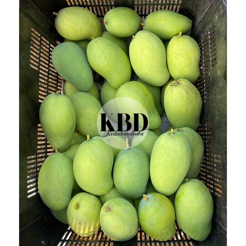 HARUMANIS ORIGINAL PERLIS🔥3KG | Shopee Malaysia