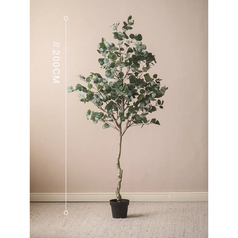 Pokok Viral-artificial Premium Olive Tree & Eucalyptus Tree PLANT ...