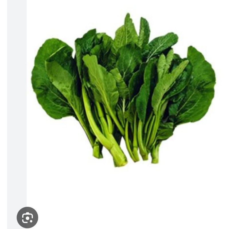 Biji benih sayur sawi Hong Kong Manis | Shopee Malaysia