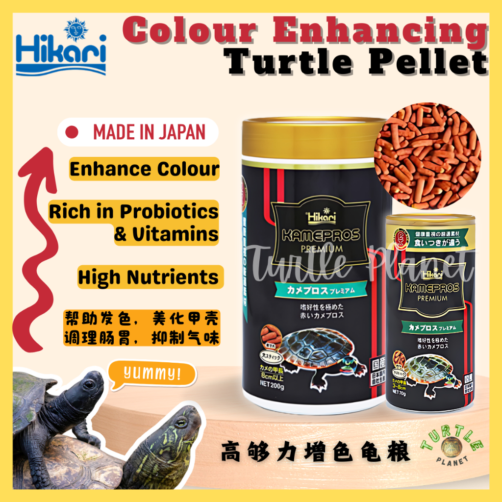 Hikari Turtle Food makanan kura kura 日本高够力Hikari善玉菌发色龟粮 美化甲壳(70g/200g ...