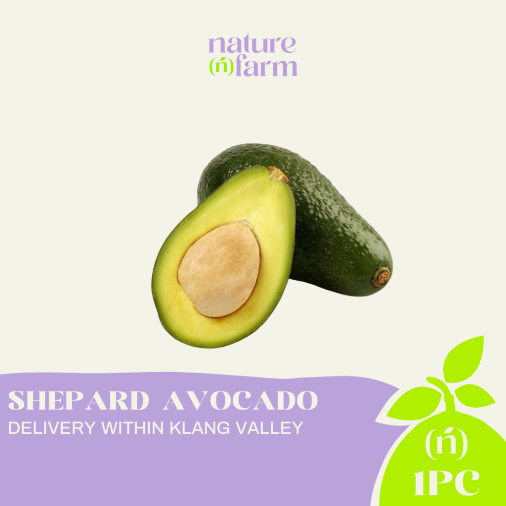 Nature Farm Fresh Shepard Avocado (1PC) | Shopee Malaysia