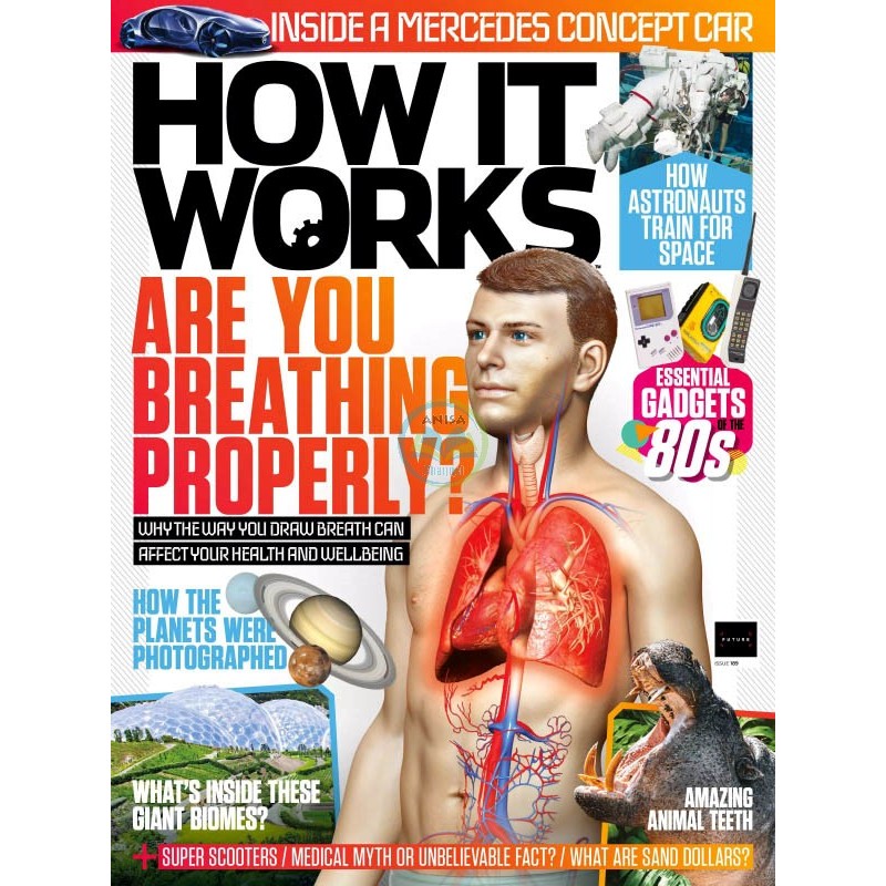 [eMagazine/PDF] How It Works – Issue 189, 2024 | Shopee Malaysia