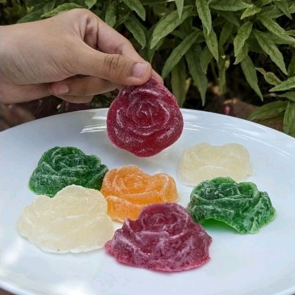 Doorgift 50Pcs Agar Agar Kering BUNGA ROS Tradisional Kampung Dried ...