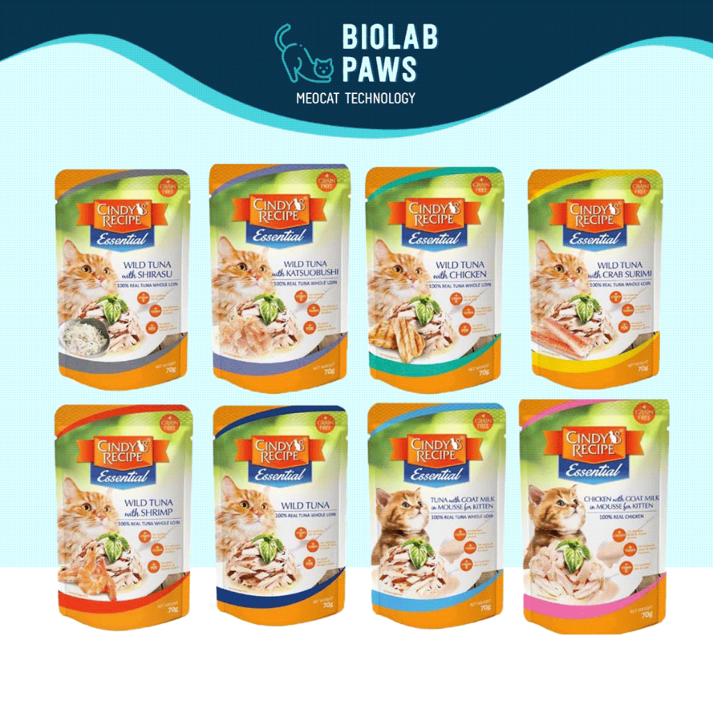 READY STOCK Cindy’s Recipe Essential Wet Cat Food Pouch 70g (8 flavors ...