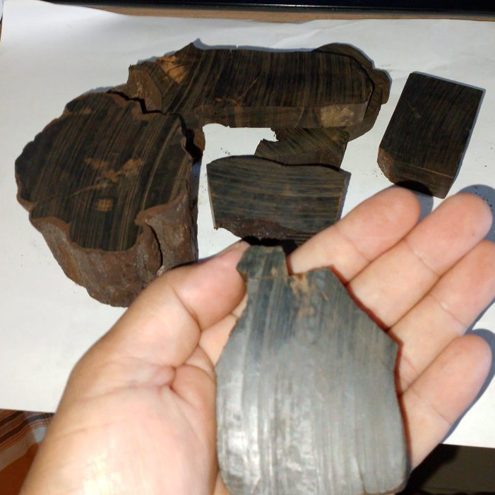 TERAS KAYU KEMUNING HITAM ORIGINAL PENAWAR RACUN DAN BISA | Shopee Malaysia