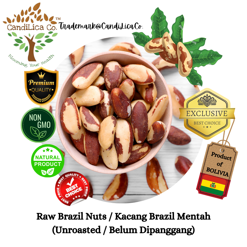Raw Brazil Nuts (Unroasted) | Kacang Brazil Mentah | 生巴西坚果 – CandiLica ...