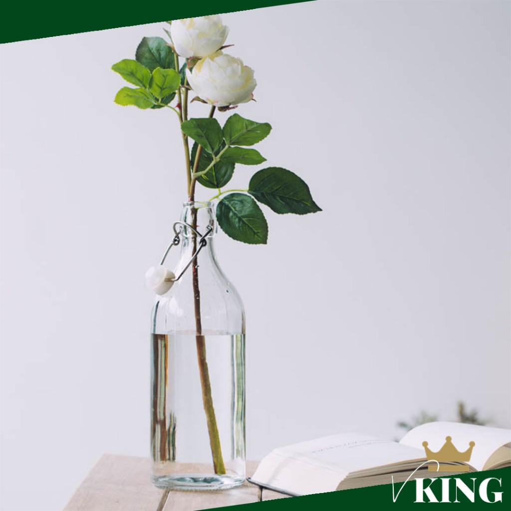 GLASS BOTTLE WITH STOPPER 1.0L 0.5L GELAS BOTOL AIR BOTOL KACA WATER ...