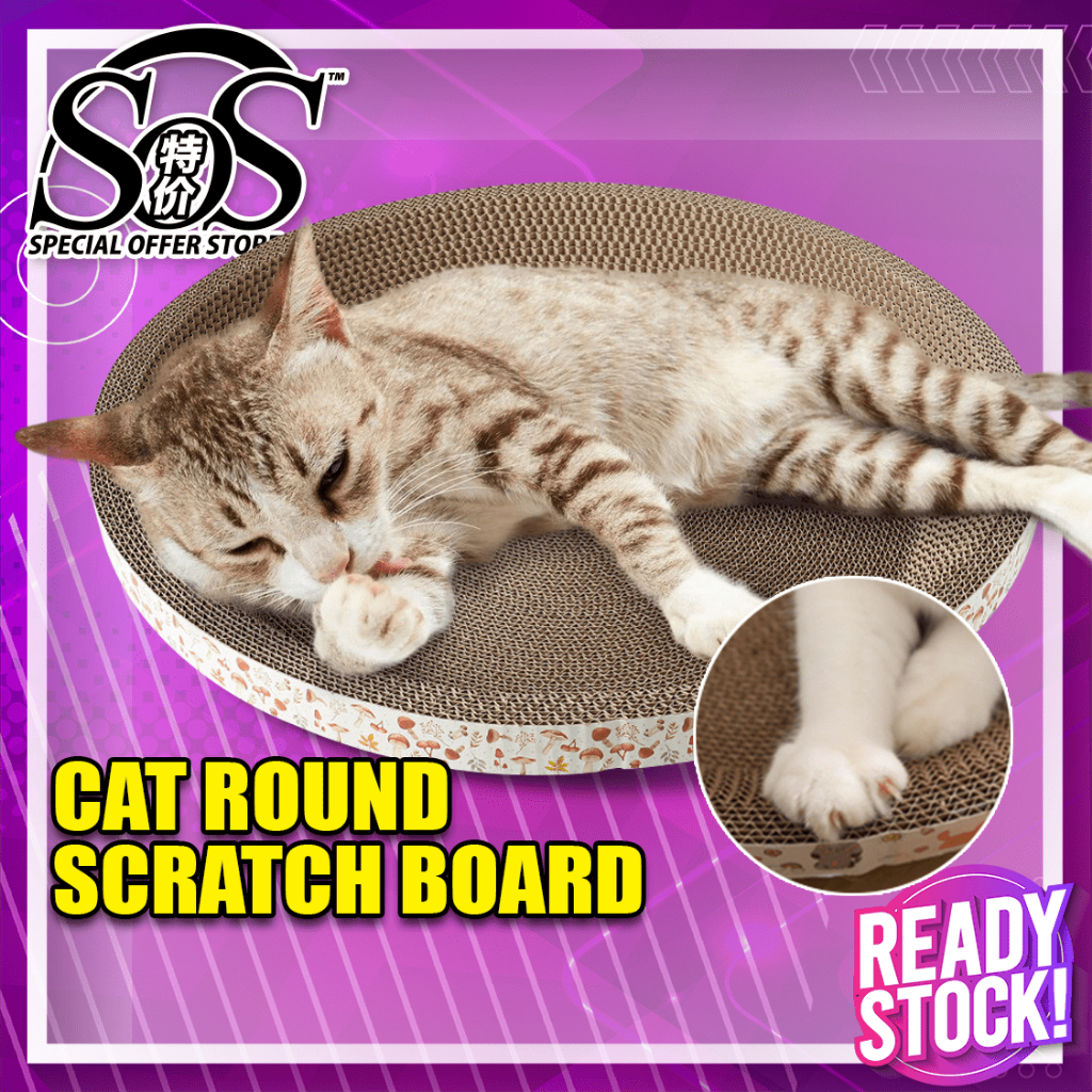 Cat Scratch Board Extra Large Big Cat Scratches Oval Cat Scratcher Cat ...
