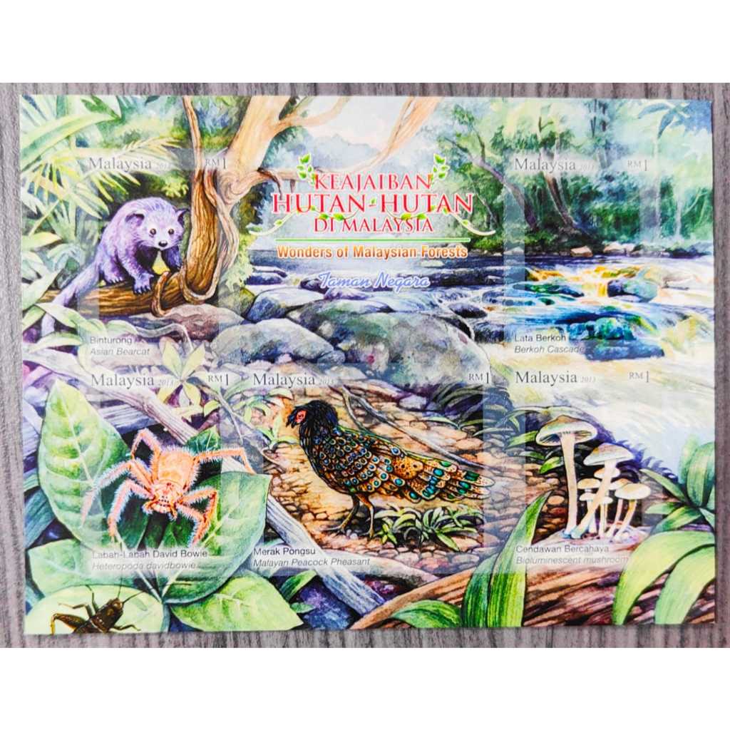 [MSV-0046] 2013 Keajaiban Hutan-Hutan Di Malaysia / Wonders of ...