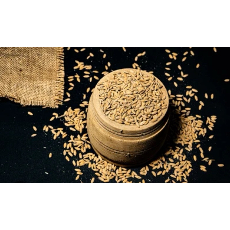 Nellu/Paddy/ (Padi) (100g/200g/300g/500g) | Shopee Malaysia