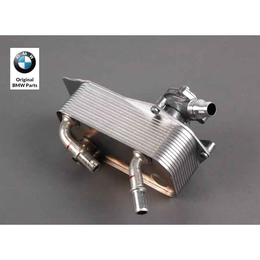Genuine BMW E81 E82 E84 E87 E88 E89 E90 E91 E92 E93 N20 N43 N52 N53 Transmission Gearbox Oil ...