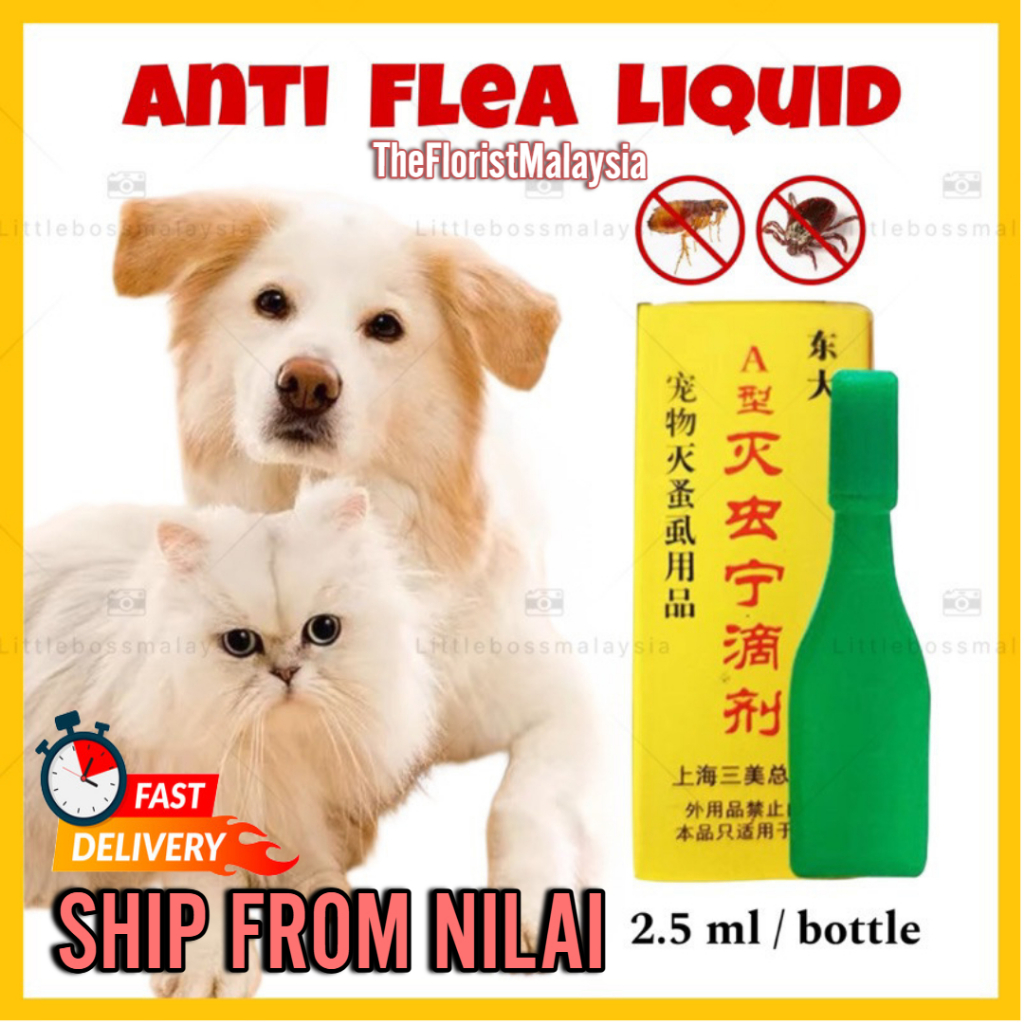 🔥𝑹𝑬𝑨𝑫𝒀 𝑺𝑻𝑶𝑪𝑲🔥100% ORIGINAL Anti-Flea Medicine Ubat Kutu/ Anti Fleas ...