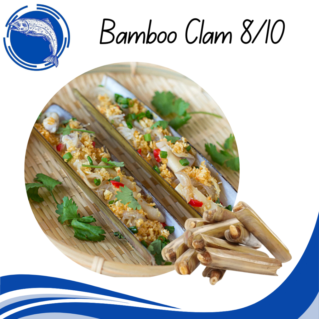 🔥New🔥Bamboo Clam / Siput Buluh / 竹炭 { Size : 8/10 } [ 1KG/Pack ...