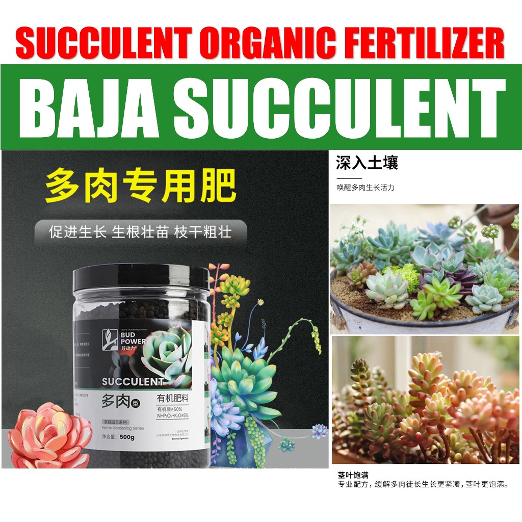 Organic Succulent Fertilizer - Boost Growth & Health Baja Succulent ...