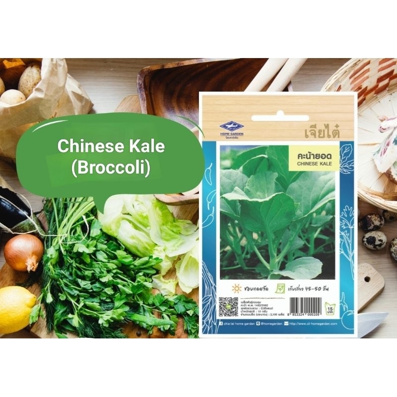 🌱Ready Stock 🌱 Imported Chinese Kale Seeds / Benih Chinese Broccoli ...