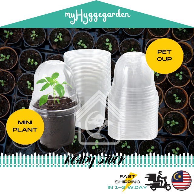 [NEW] Clear Plastic Seedling Cup With Cap Home Gardening Farming I ...