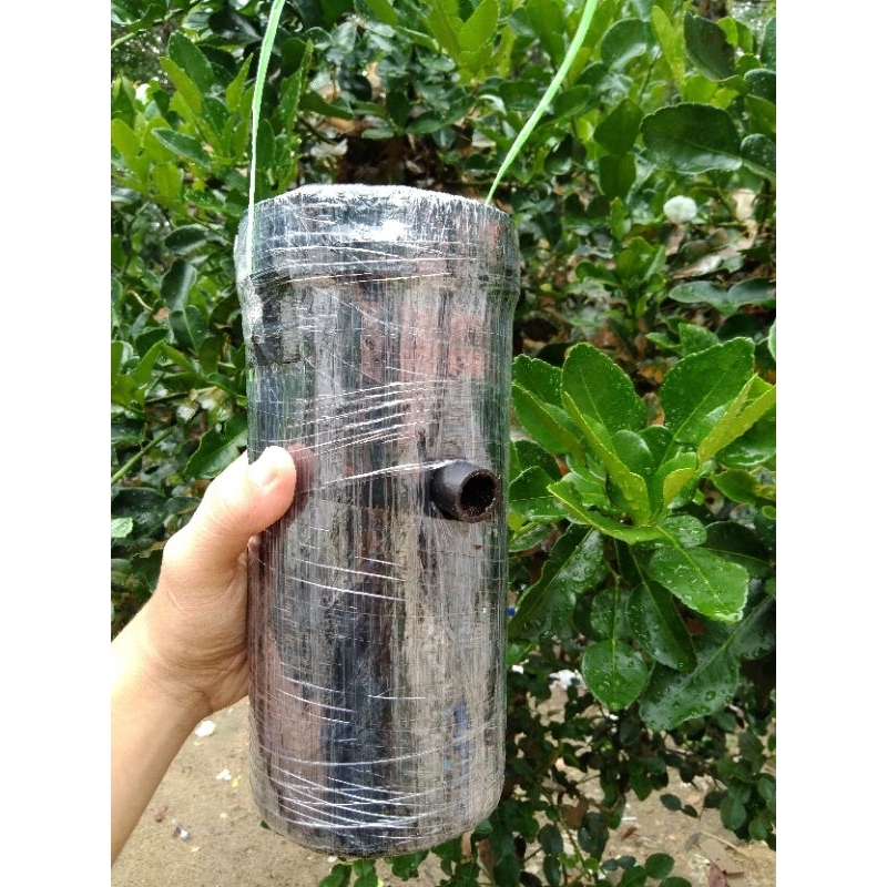 PERANGKAP KELULUT BOTOL 2100 ML [2024]🔥 | Shopee Malaysia