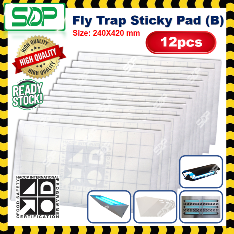 12 pcs Big Size Insect Fly Trap Premium Quality Sticky Pad / Elegant ...