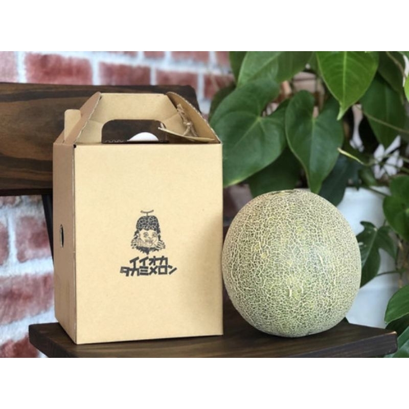 [MOST LUXURY/PREMIUM GREEN FLESH] Japan Chiba Takami Melon Seed/Benih 5 ...
