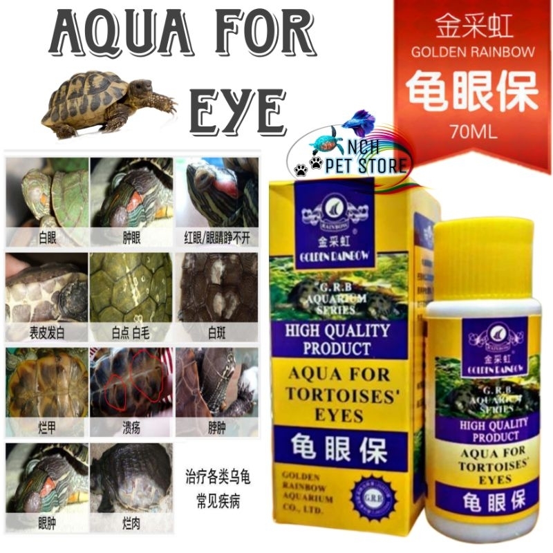Turtle Liquid Turtle Eye Potion Turtle Medicine Brazilian Turtle ...