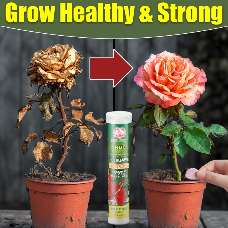 德国植物肥料German Fertilizer For Plants Garden Soil Fertilizers For ...
