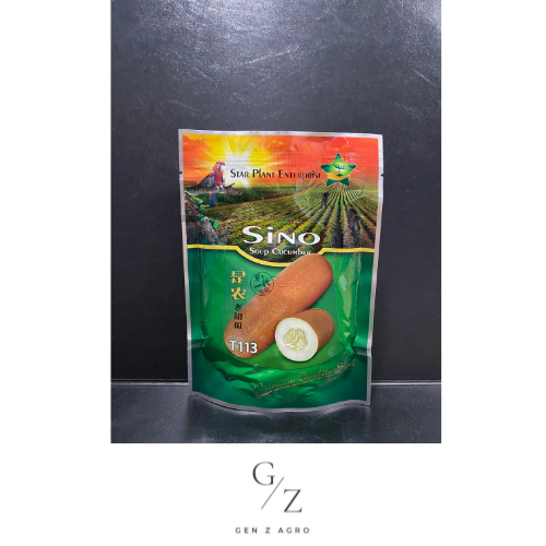(500 seeds / 50g / 100g) Star Plant T113 Sino Soup Cucumber / Timun Tua ...