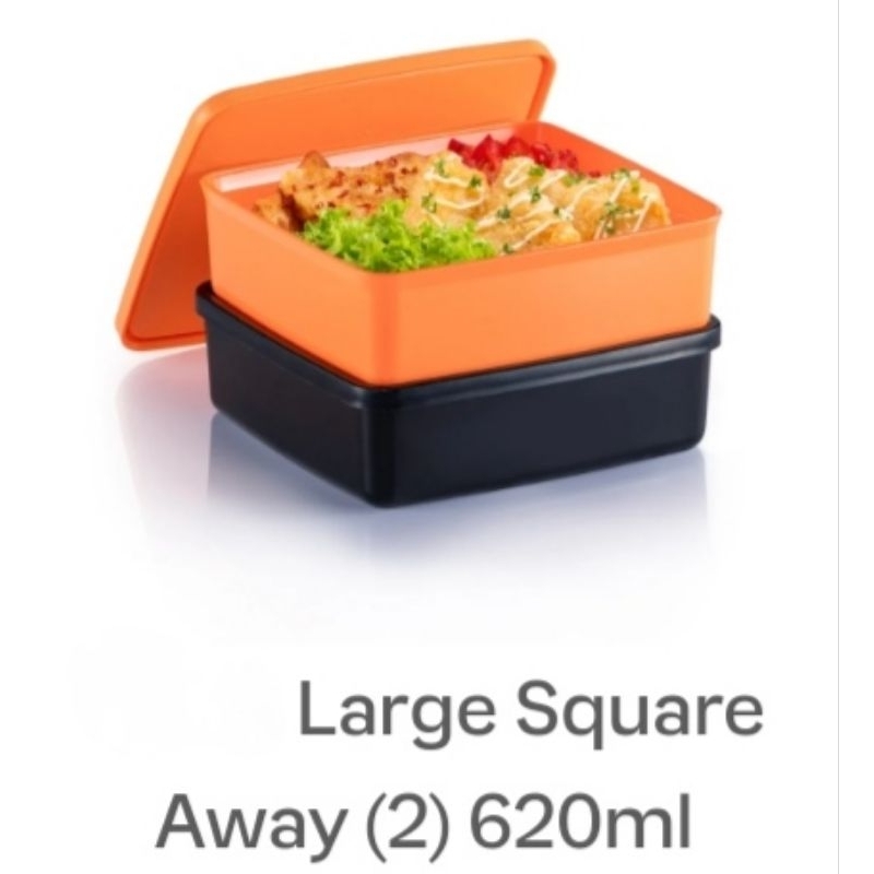 TUPPERWARE Large Square Away 620ml(2 Pcs) | Shopee Malaysia