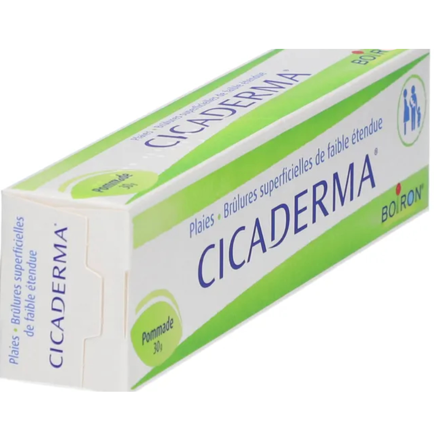 👍Boiron Cicaderma ointment 30g Skin Irritations Treatment Ointment ...