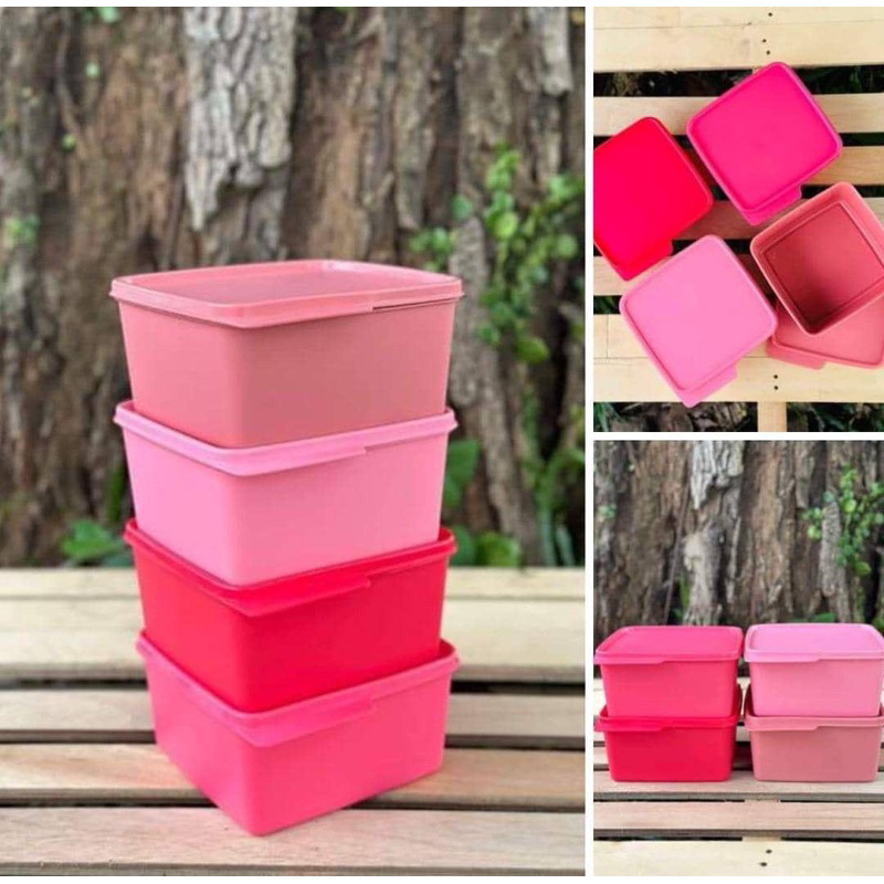 Tupperware Pastel Cozy Nest Set 4 units 1.2L Square Container Snack N ...